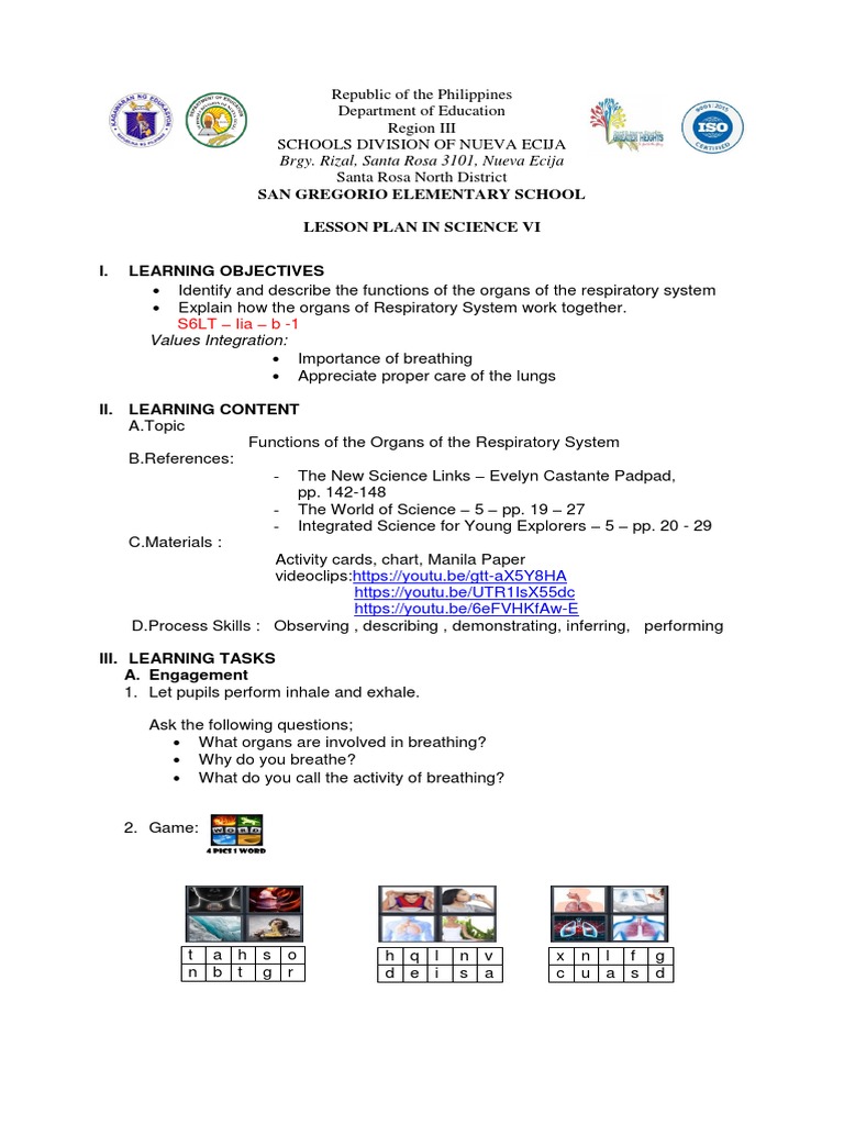 Science Lesson Plan: Respiratory System | PDF | Respiratory Tract | Lung