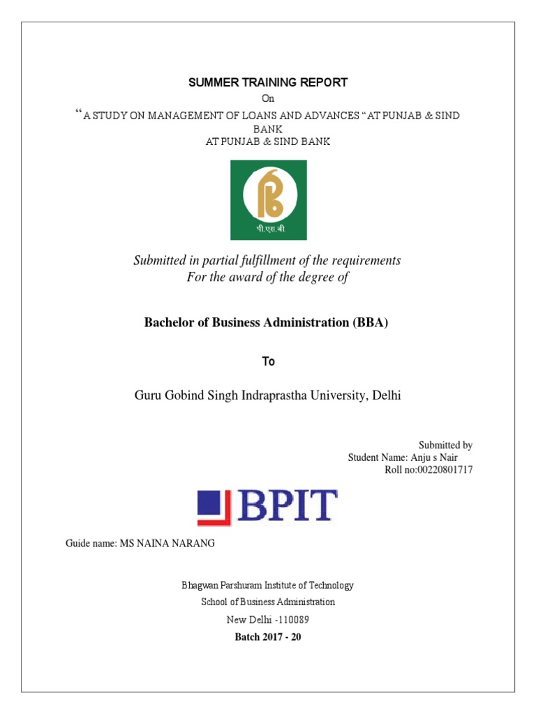 BBA Project Report (The Study of Loan and Advances of Punjab and Sind ...