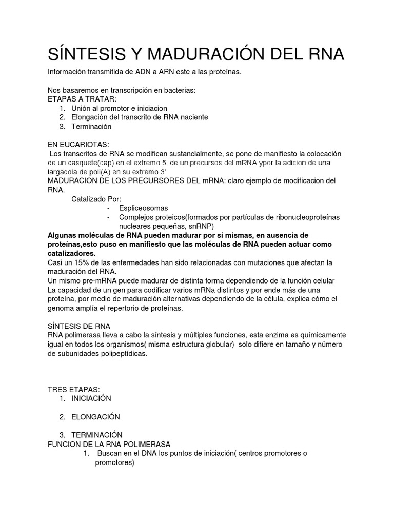Síntesis y Maduración Del Rna | PDF | Rna | Messenger Rna