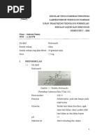 Sirupus Simplex | PDF