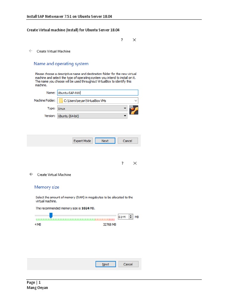 Install SAPNW 7.51 Ubuntu 18.04 | PDF | Virtual Machine | Directory (Computing)