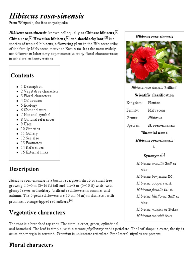 Hibiscus Rosa-Sinensis, China Rose | PDF | Plants | Botany