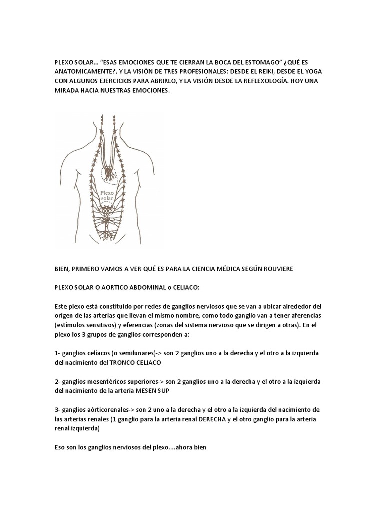 Anatomía y Significado del Plexo Solar | PDF | Abdomen | La columna ...