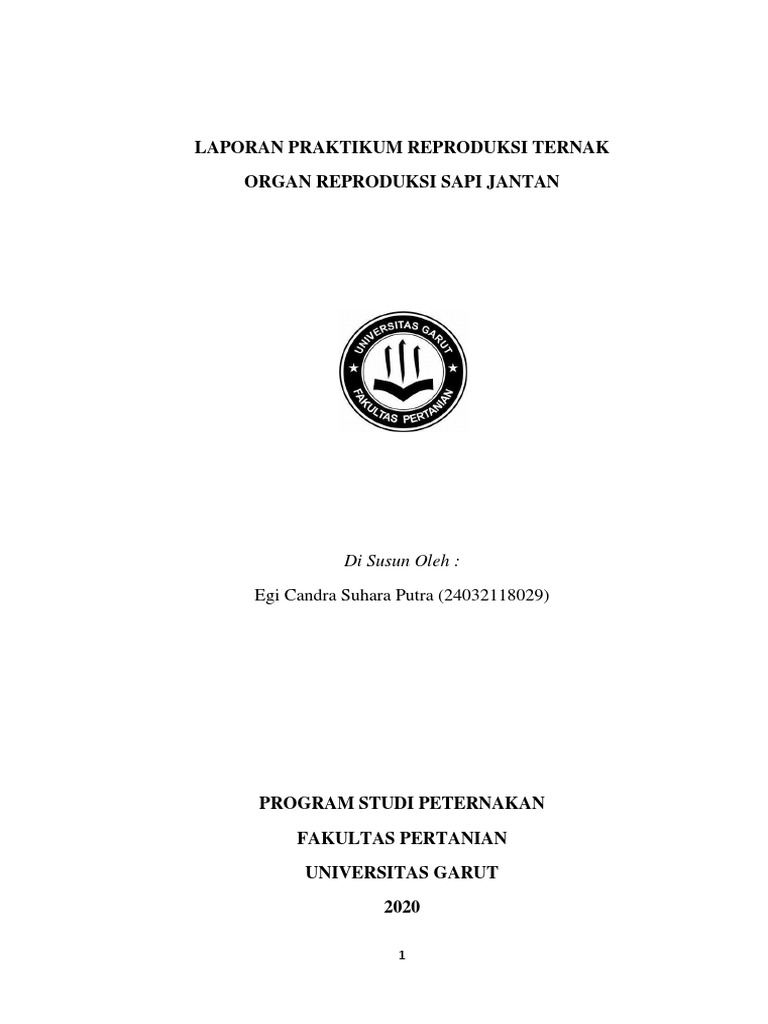 Anatomi Organ Reproduksi Sapi Jantan | PDF