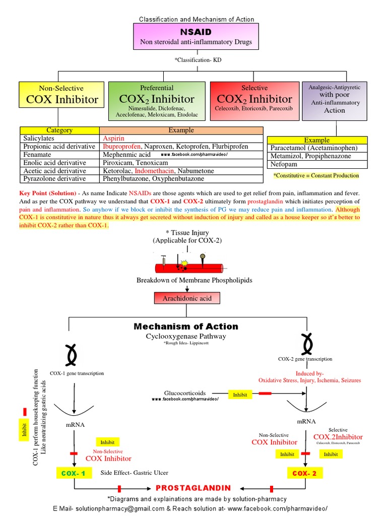 NSAID | PDF | Nonsteroidal Anti Inflammatory Drug | Pain Management