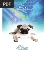 Pressure Transfer Map - Dutchsinse Global Version 2.0 | PDF ...