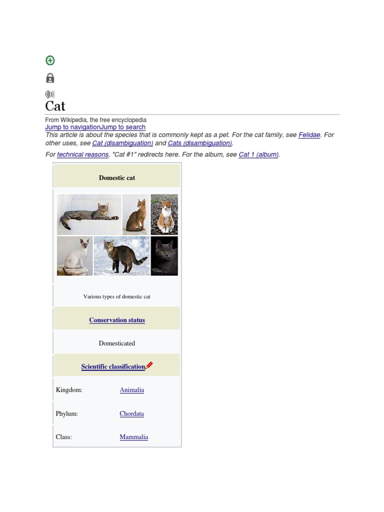 Cat | PDF | Cats | Vertebral Column