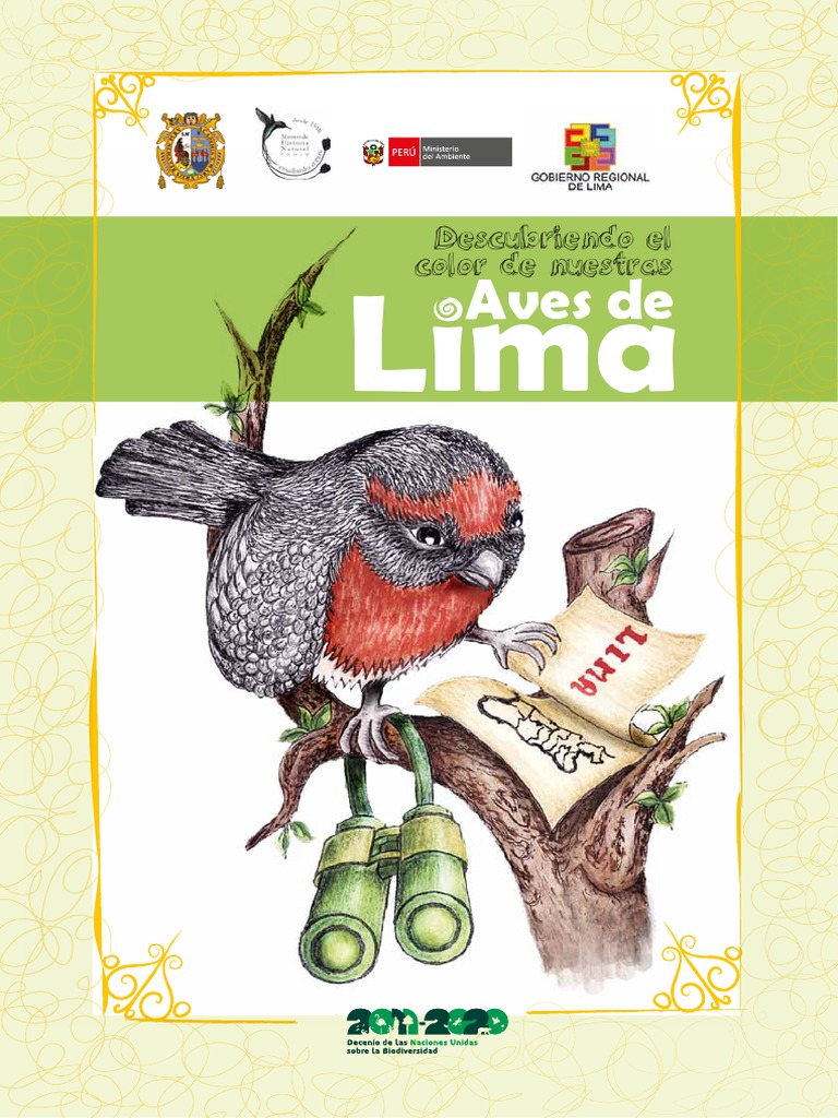 Libro Colorear-Descubriendo El Color de Nuestras Aves de Lima PDF | PDF | Aves | Paravianos