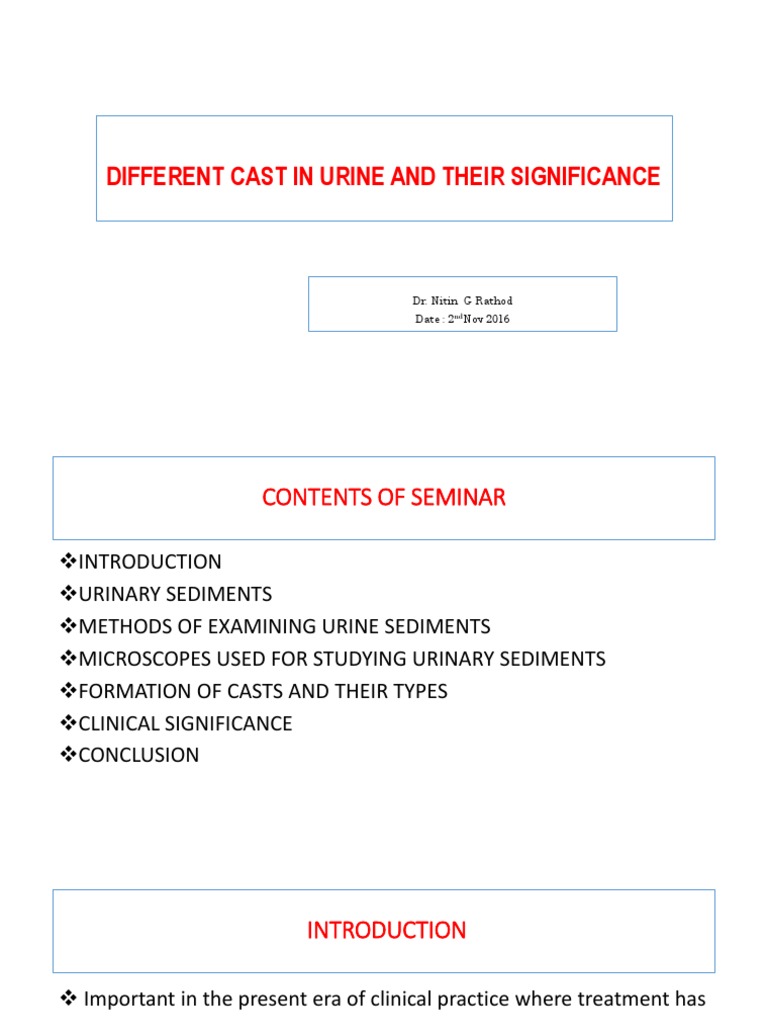 Casts in Urine | PDF | Urinary System | Anatomy