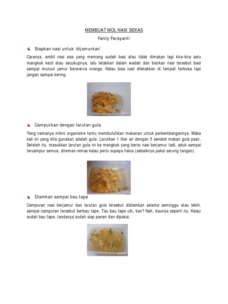 03-Mol Nasi Bekas | PDF