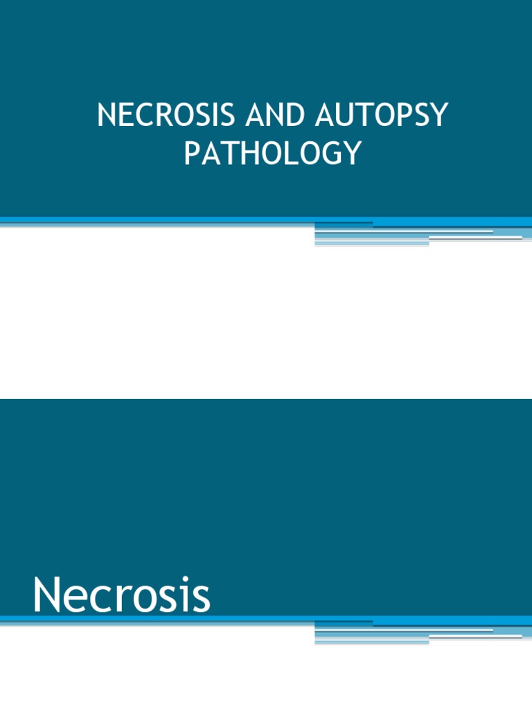 Necrosis and Autopsy Pathology | PDF | Necrosis | Clinical Medicine