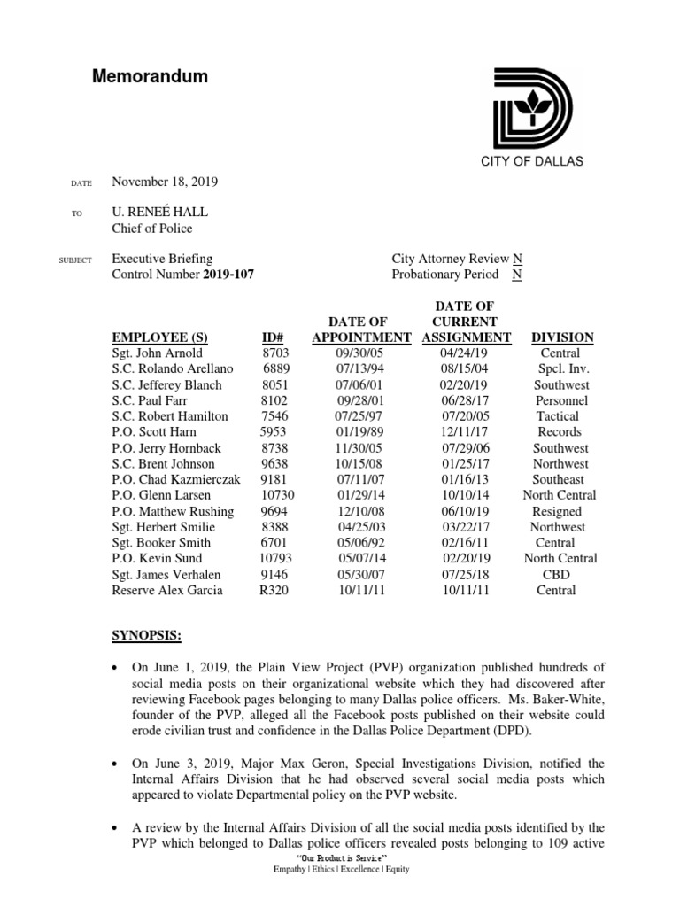 Executive Summary Plain View Project | PDF | Facebook | Social Media