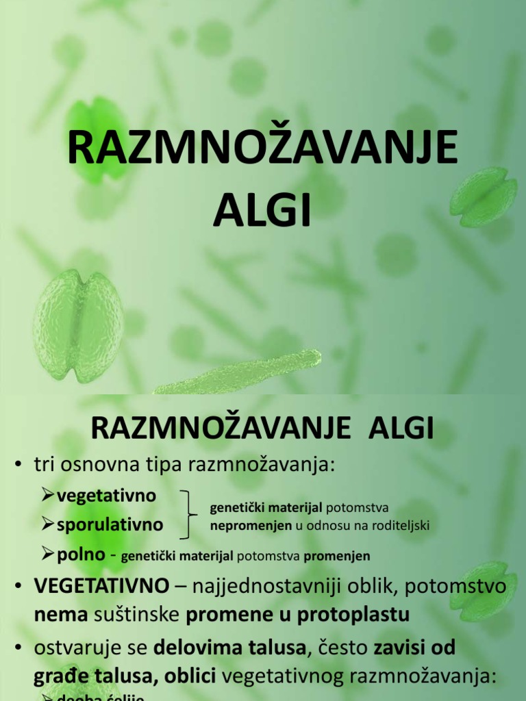 3 Predavanje Alg Razmnozavanje Algi | PDF