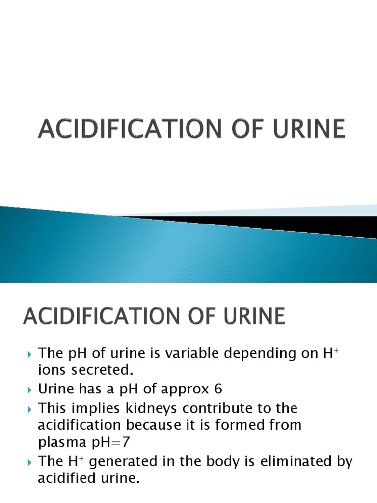 Acidification of Urine | PDF