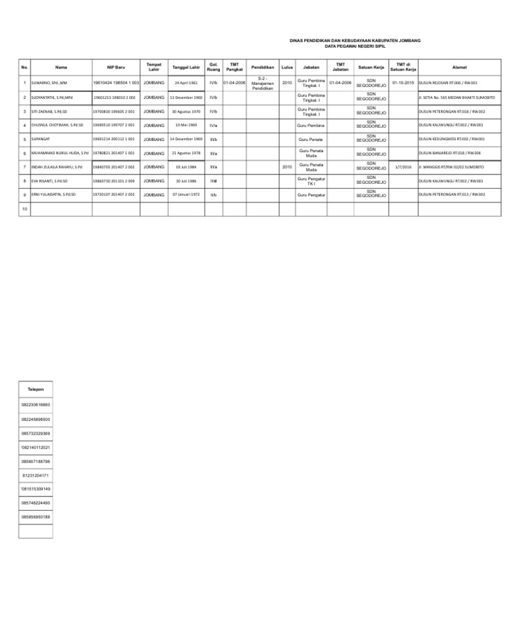 Format Data PNS | PDF