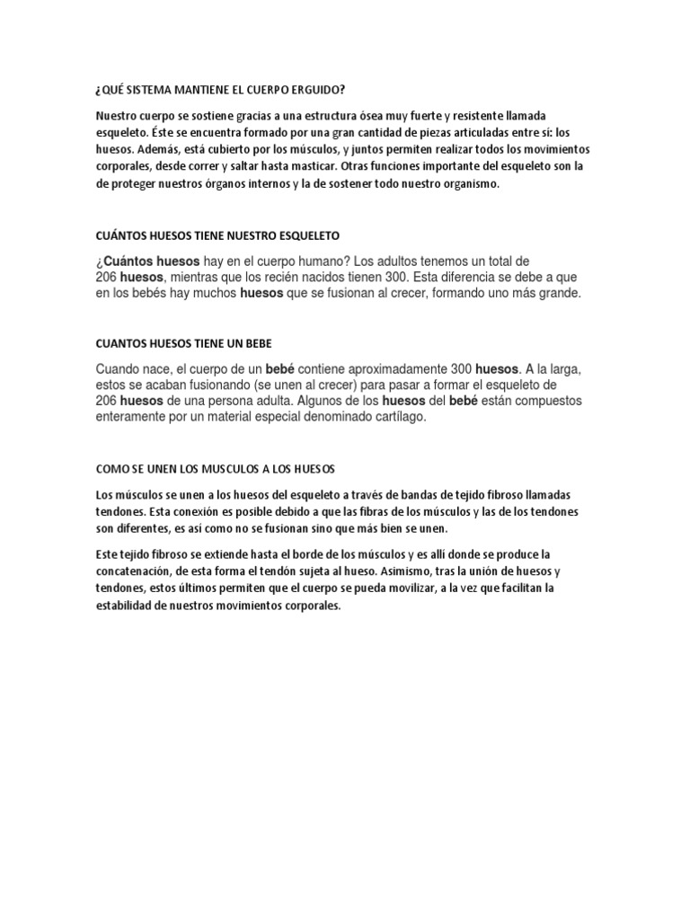 Qué Sistema Mantiene El Cuerpo Erguido | PDF
