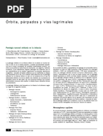 Cápsula de Tenon: Anatomía y Tenonitis | PDF | Ojo humano | Ojo