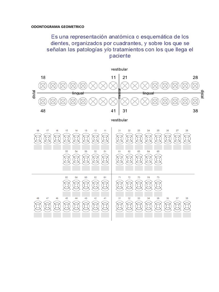Odontograma Geometrico | PDF