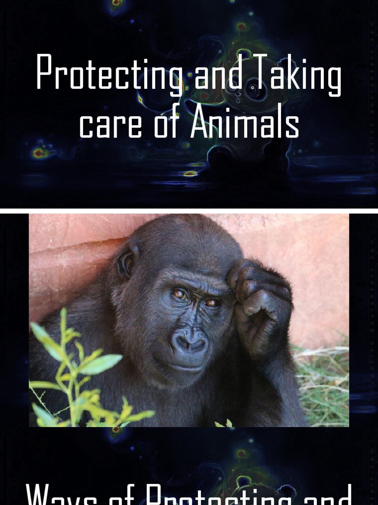 7 Ways to Protect Animals | PDF