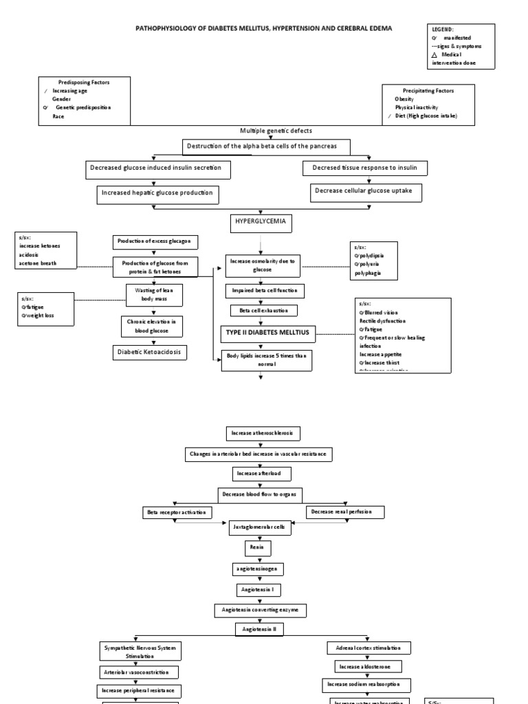 Pa Tho Physiology of DM, HPN & Cerebral Stroke Print | PDF | Diabetes ...