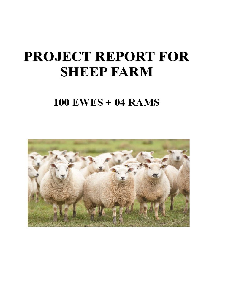 Project Report On Sheep Farming | PDF | Internal Rate Of Return | Money