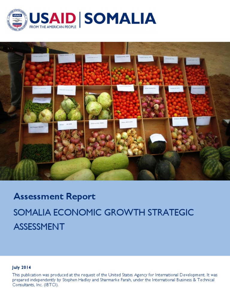 Somali Economic Challenges | PDF | Somalia | Credit