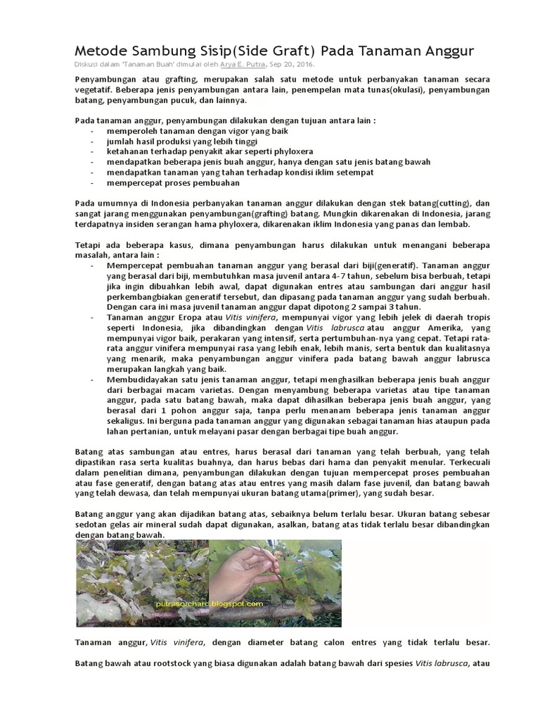 Smbung Sisip | PDF