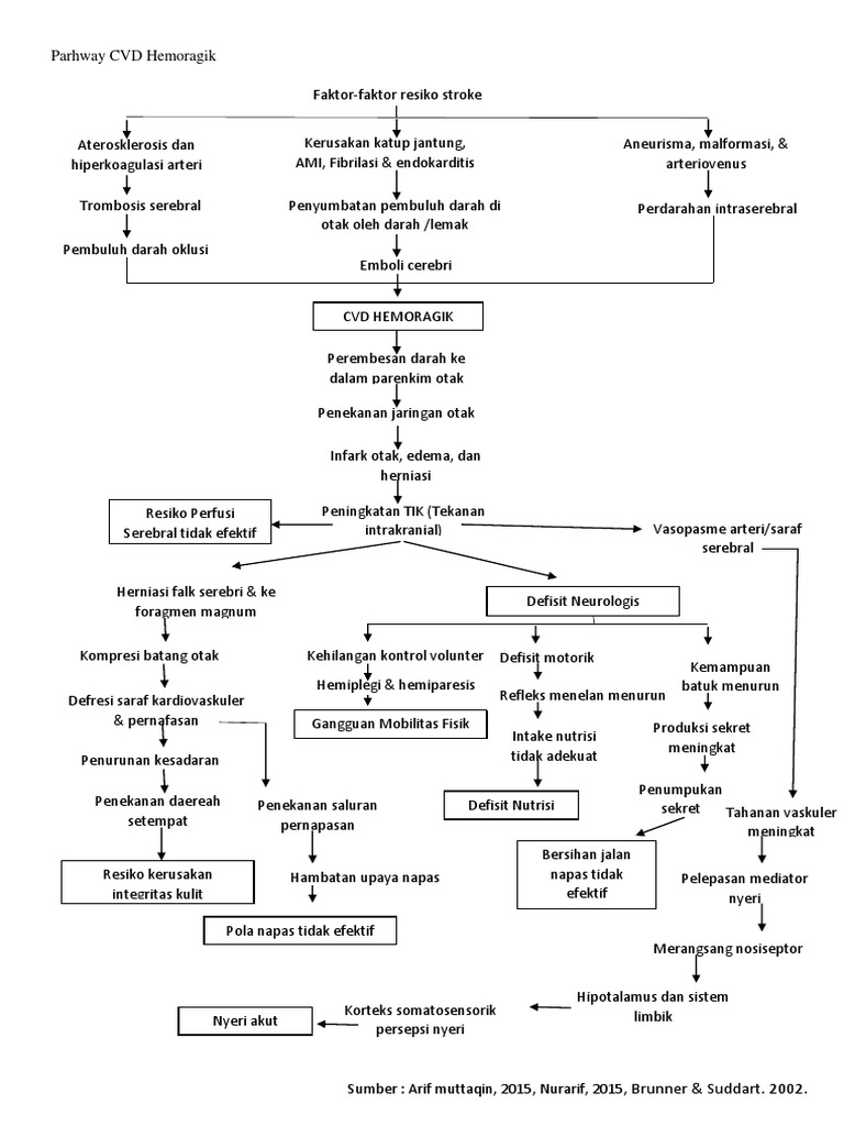 Pathway CVD Hemoragik Perbaikan | PDF
