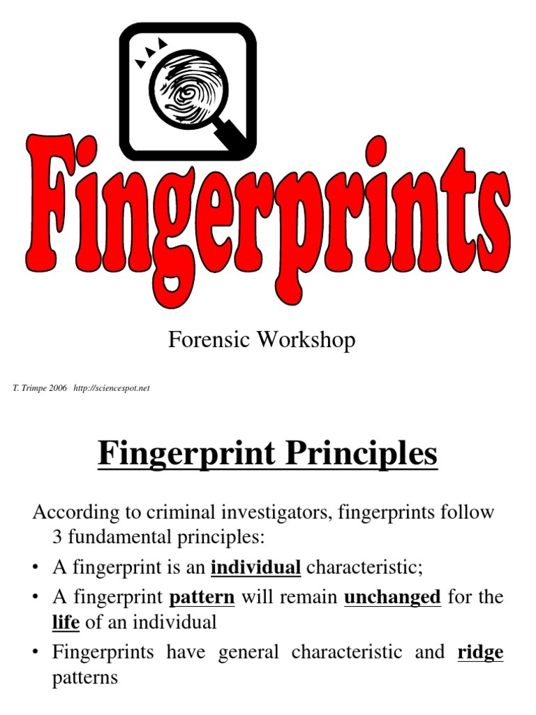 Fingerprint 101 | PDF | Fingerprint | Human Anatomy