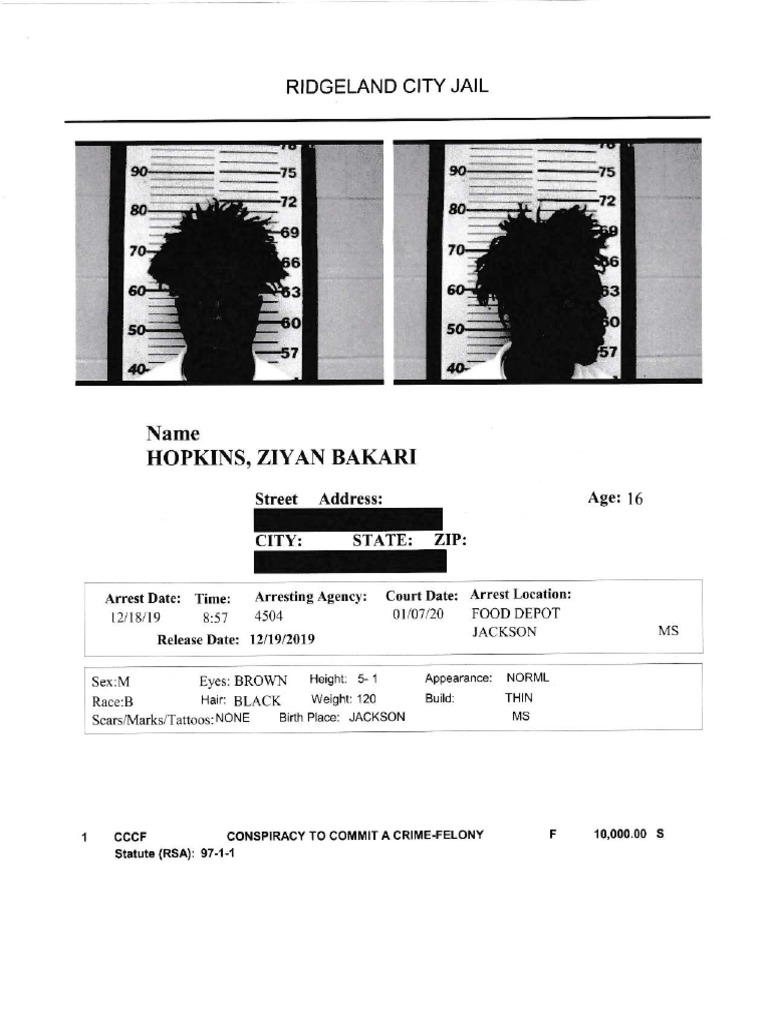 Archie Stepson Arrest 20200131 0001 | PDF