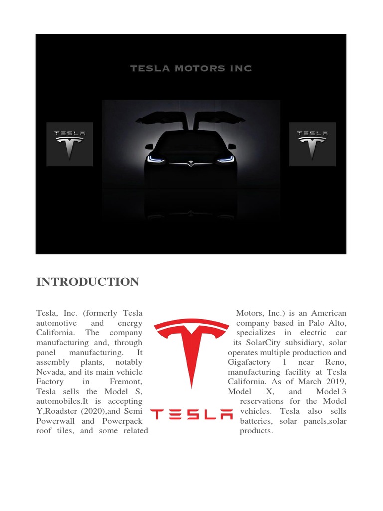 Tesla Inc: Overview and Leadership Insights | PDF | Strategic ...
