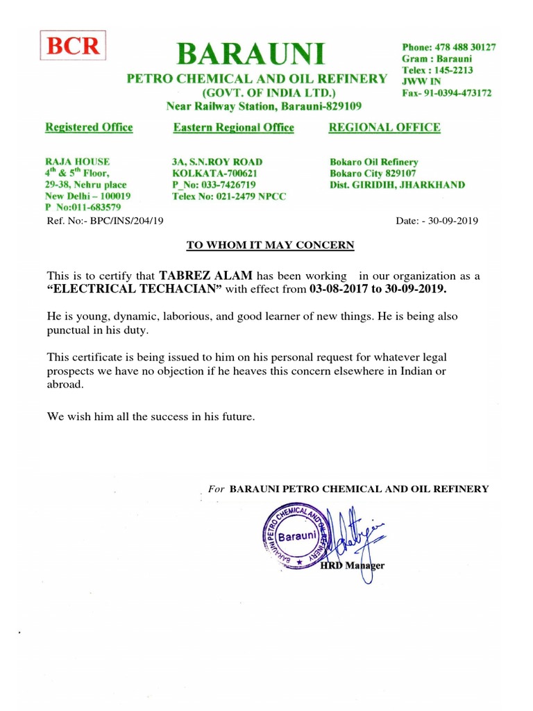 Tabrez Alam Exp | PDF