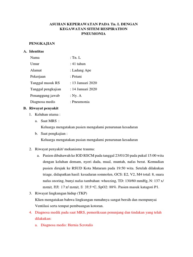 LK Pneumonia Igd | PDF