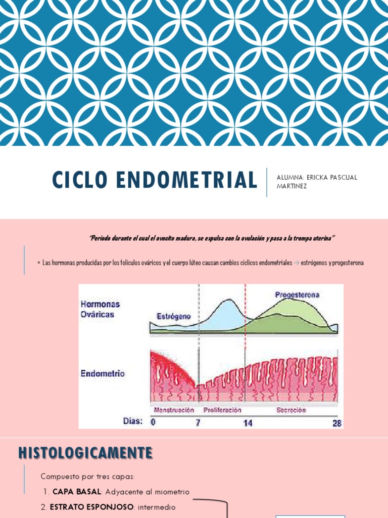 Ciclo Endometrial y Ciclo Cervical | PDF | Ciclo menstrual | Menstruación