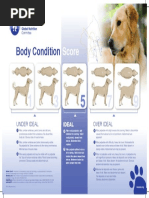Purina Body Condition Score Diagram | PDF | Abdomen | Pelvis