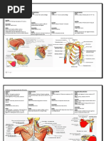 Anatomy - & - Physiology Cheat Sheet | PDF | Bone | Skin
