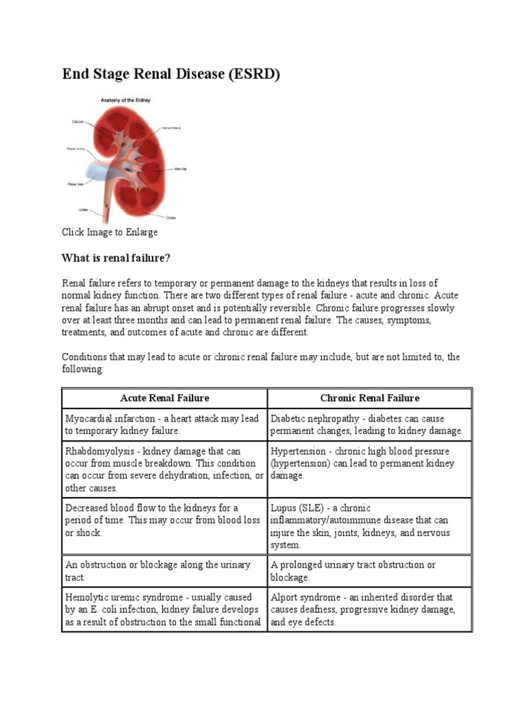 End Stage Renal Disease | PDF | Nephrology | Dialysis
