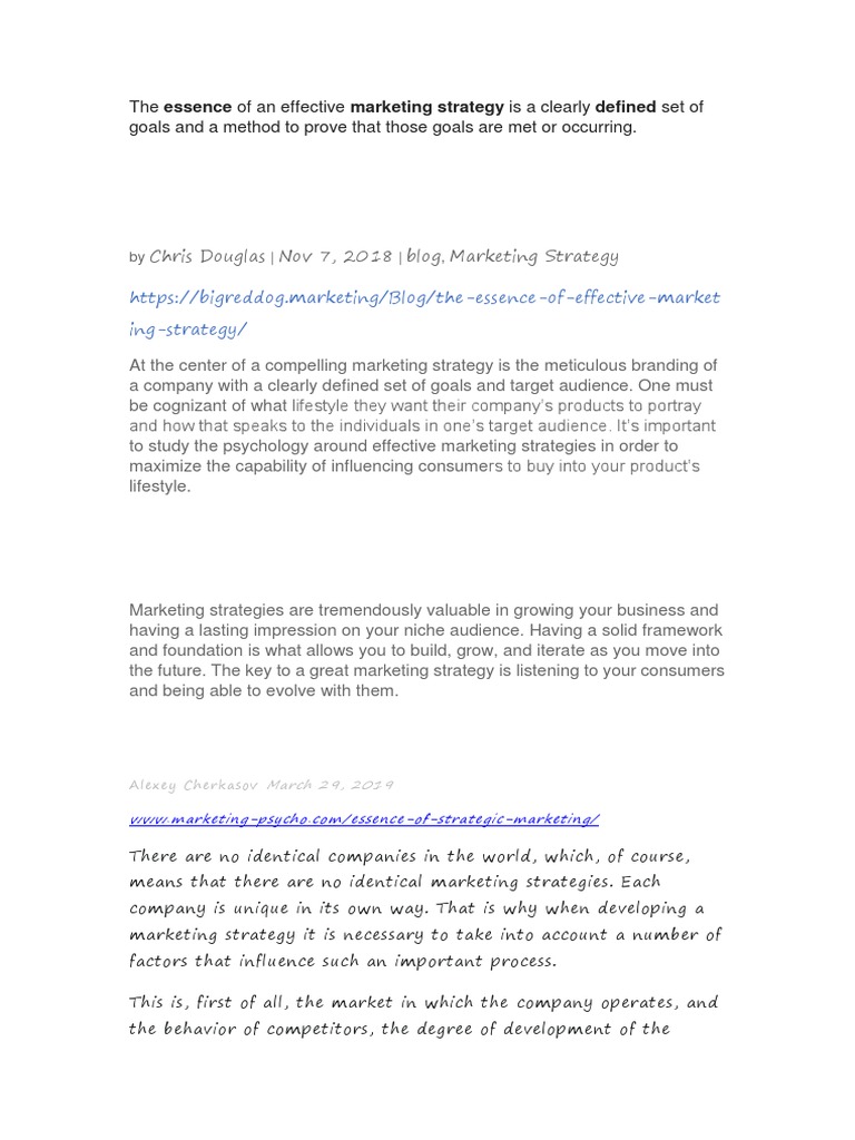 The Essence of Marketing Strategies | PDF
