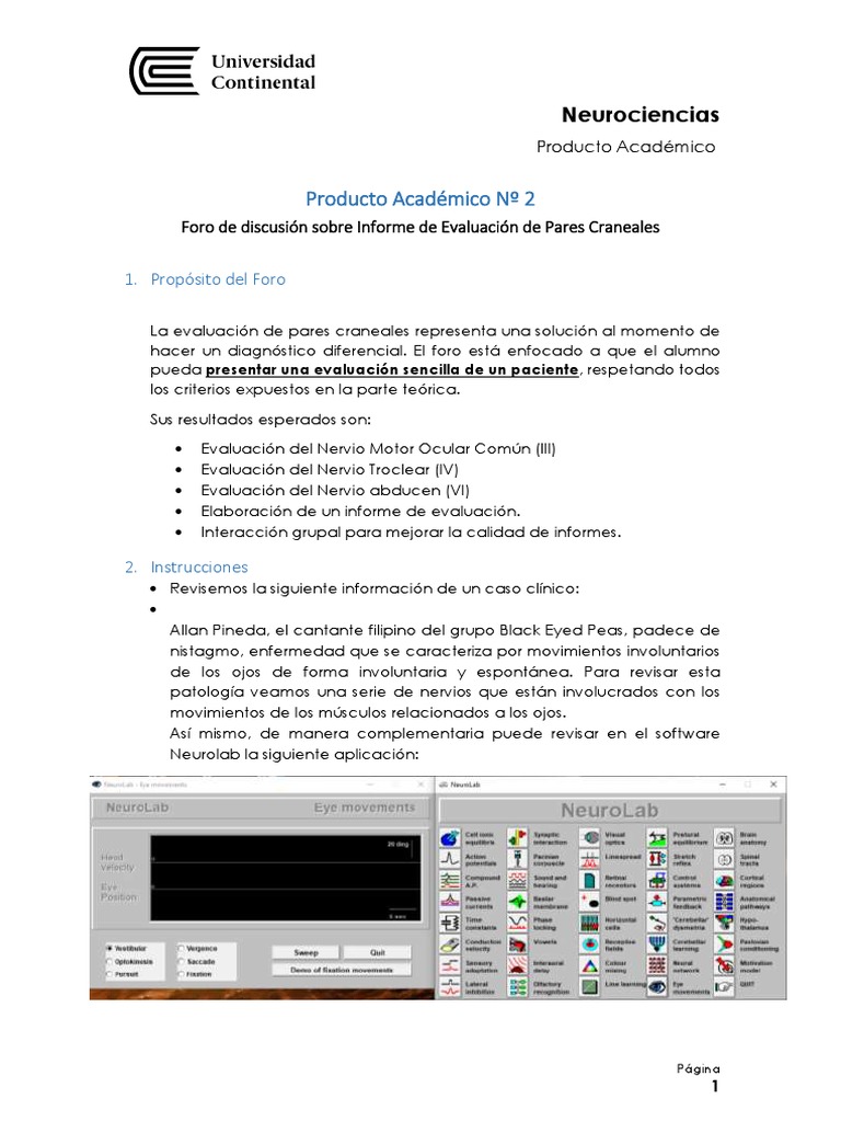 Producto AcadÃ©mico 2 | PDF | Bienestar | Medicina