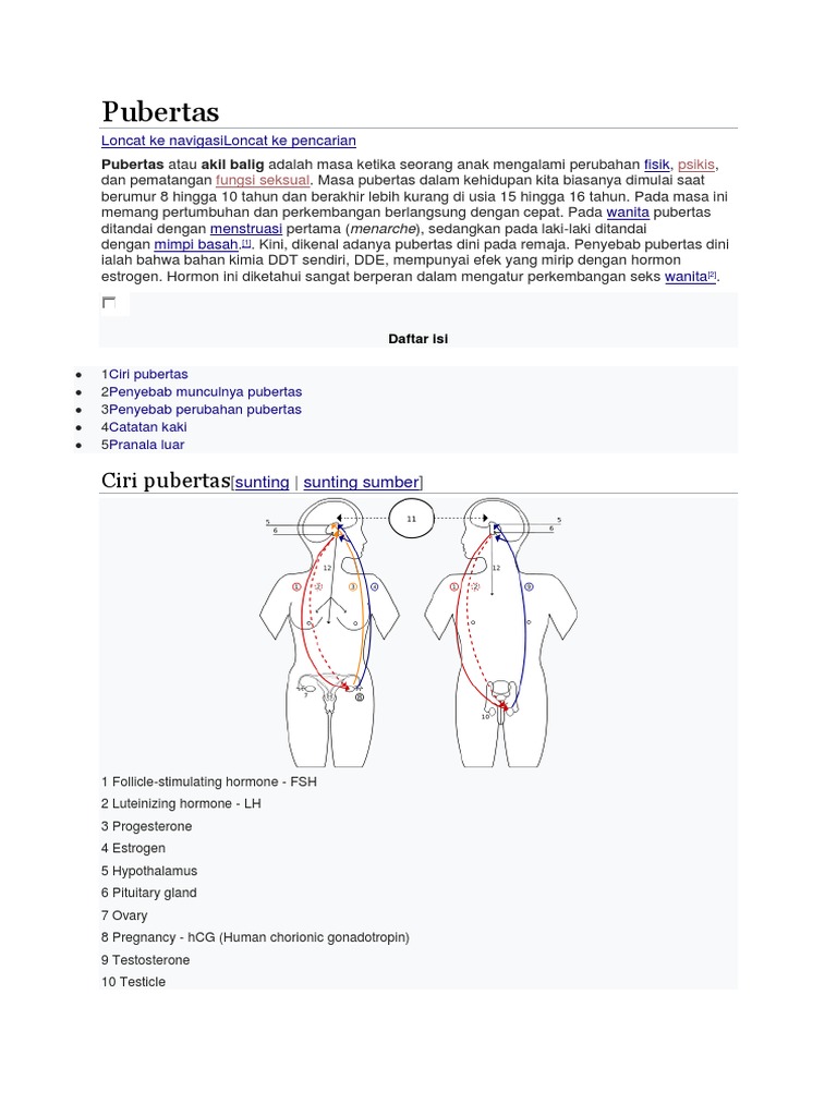 Ciri dan Penyebab Pubertas Remaja | PDF