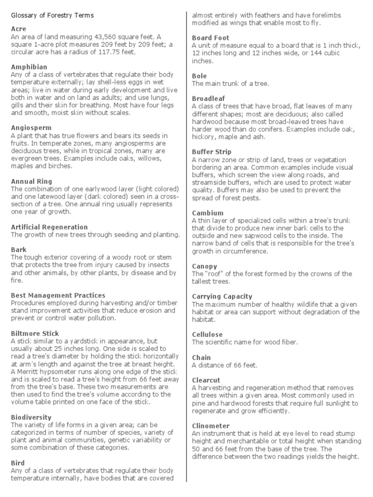 Forestry Terms Glossary Explained | PDF | Trees | Wood