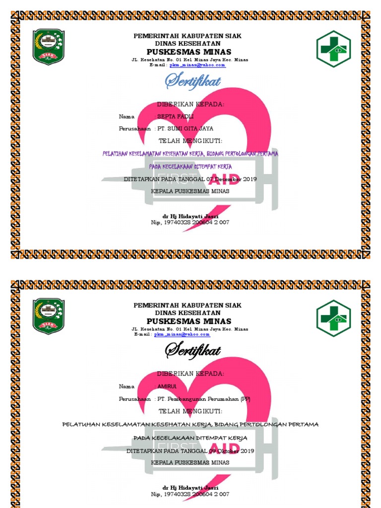 Sertifikat First Aid 2019 | PDF