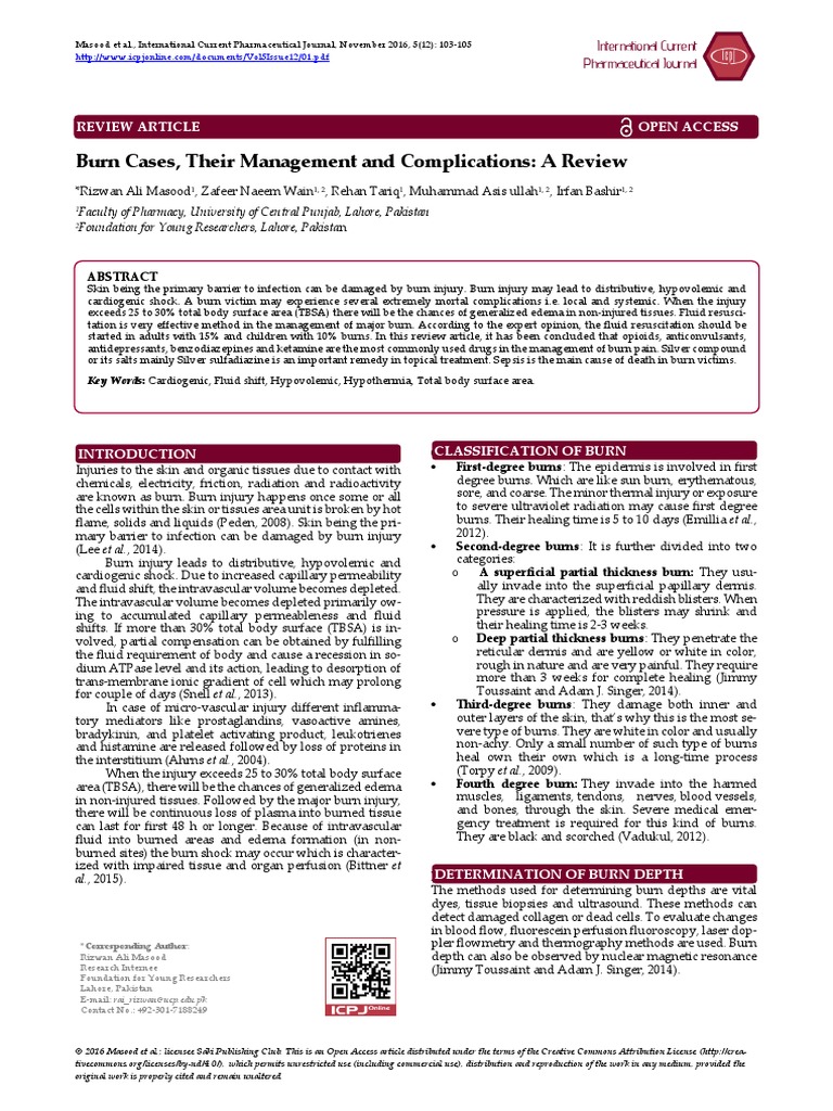 Burns Journal | PDF | Burn | Pain