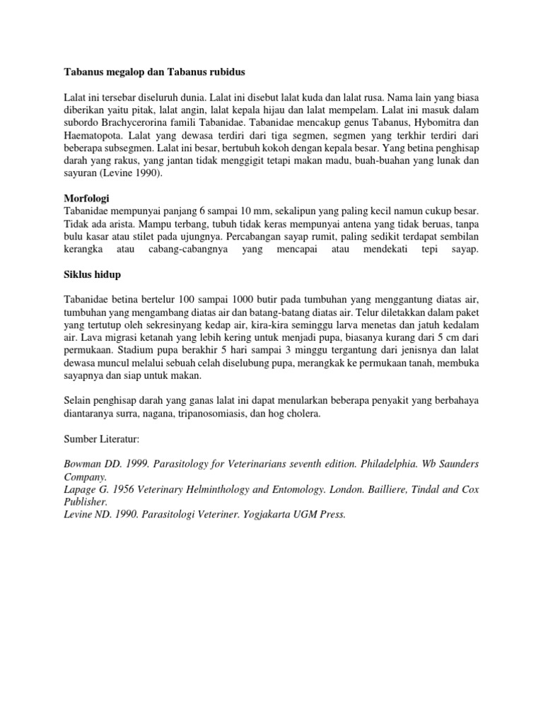Morfologi dan Siklus Hidup Lalat Tabanus | PDF