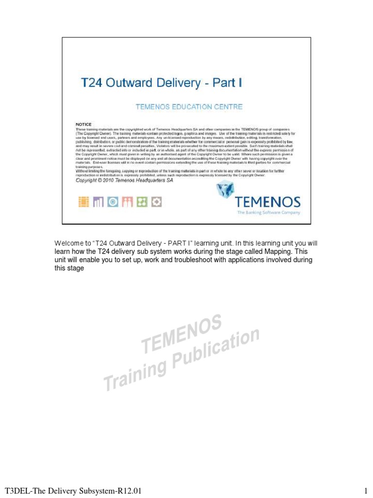 T24 Outward Delivery Overview | PDF | Parameter (Computer Programming ...