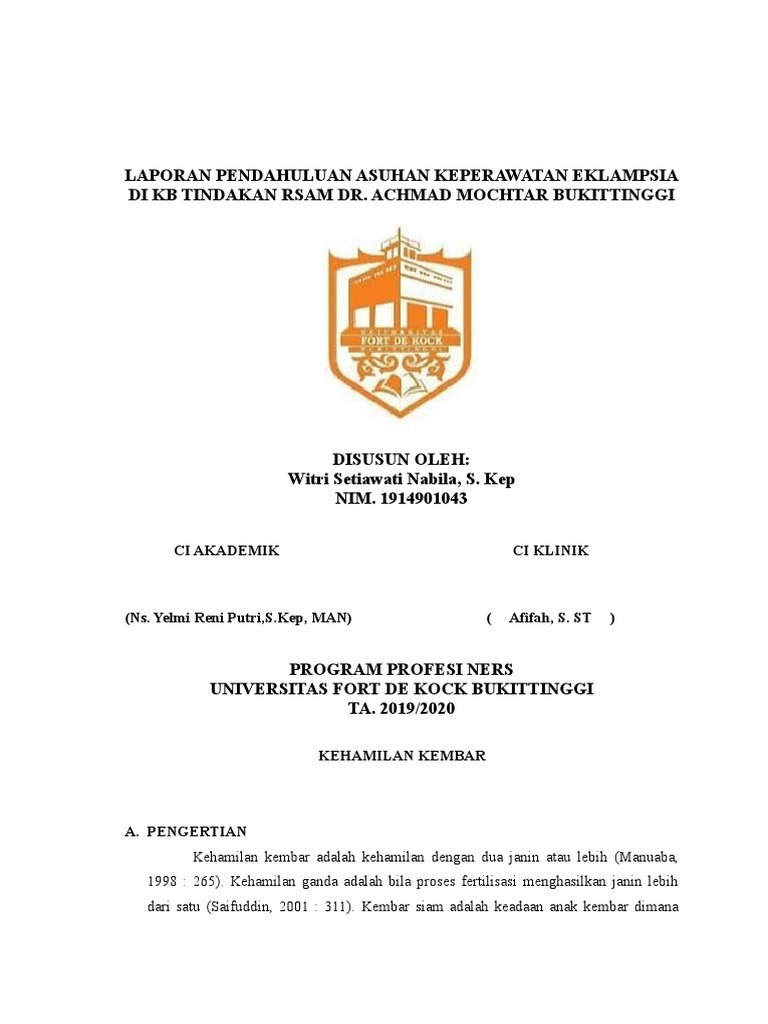 LP Gemeli-Kehamilan Kembar Chuwie | PDF