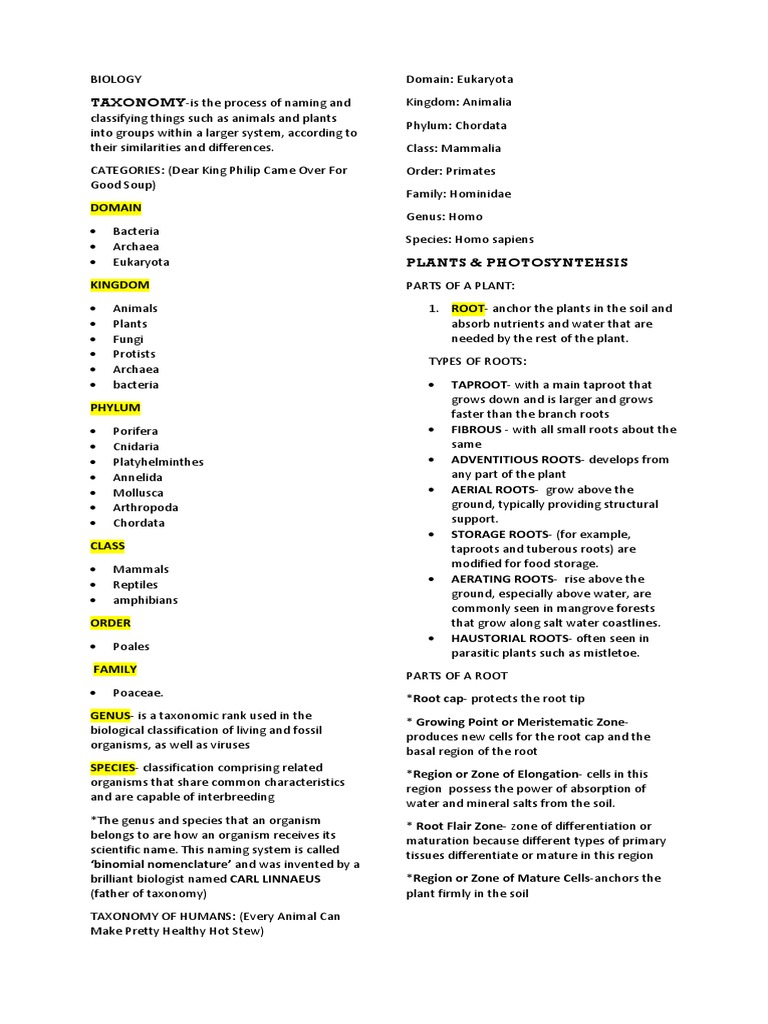 Ustet Reviewer | PDF | Human Body | Volcano