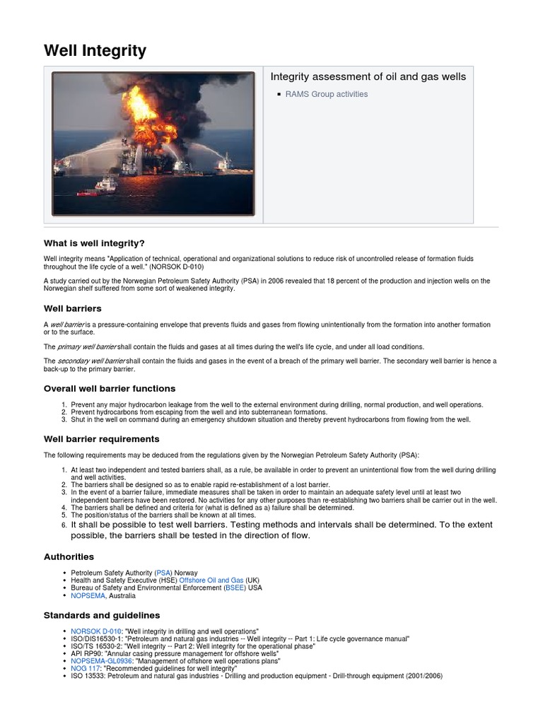 Well Integrity | PDF | Oil Well | Petroleum