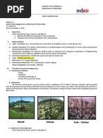 Human Rights Lesson Plan | PDF | Human Rights | Lesson Plan