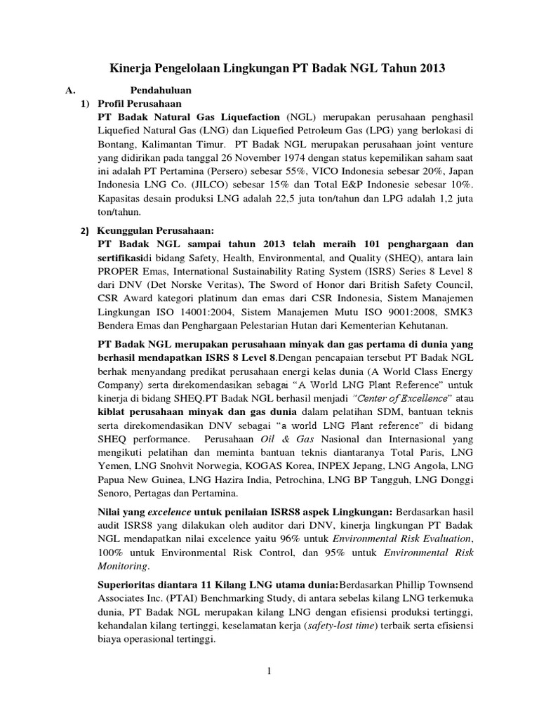 DRKPL 2013 Badak NGL PDF | PDF